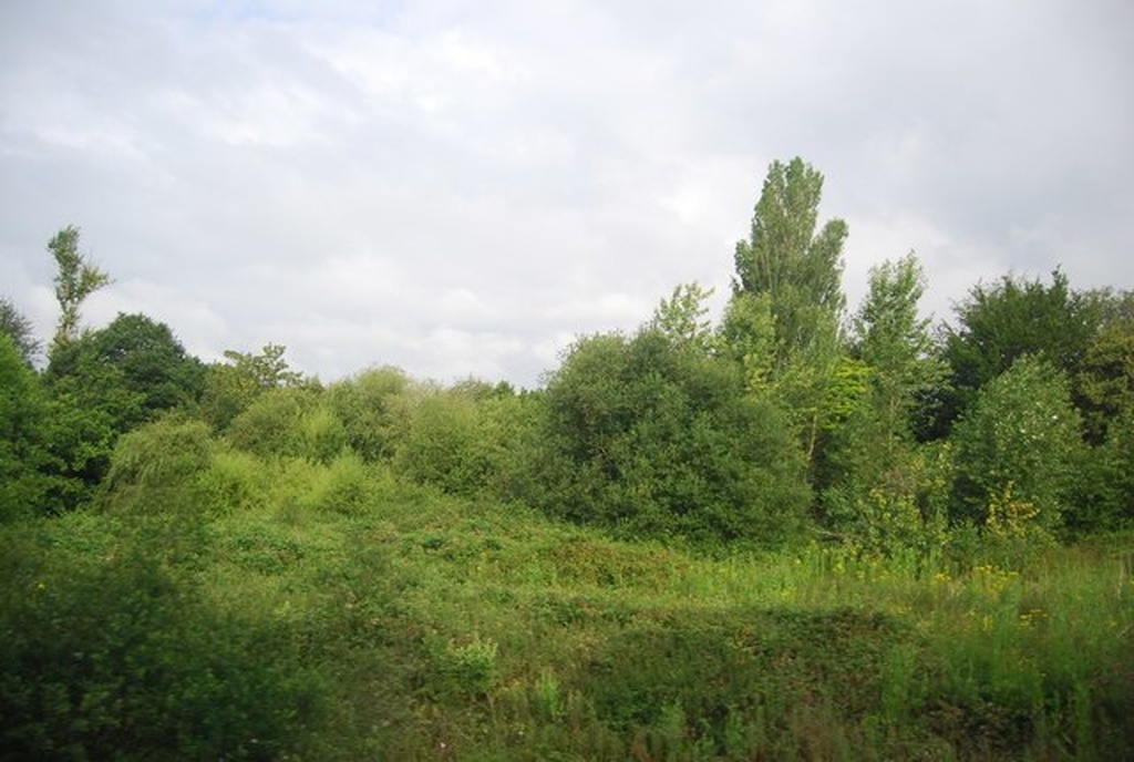 Qapubupujago Shrublands